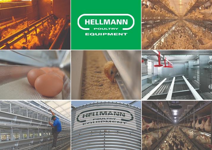 Karriere und Jobs bei Hellmann Poultry GmbH & Co .KG